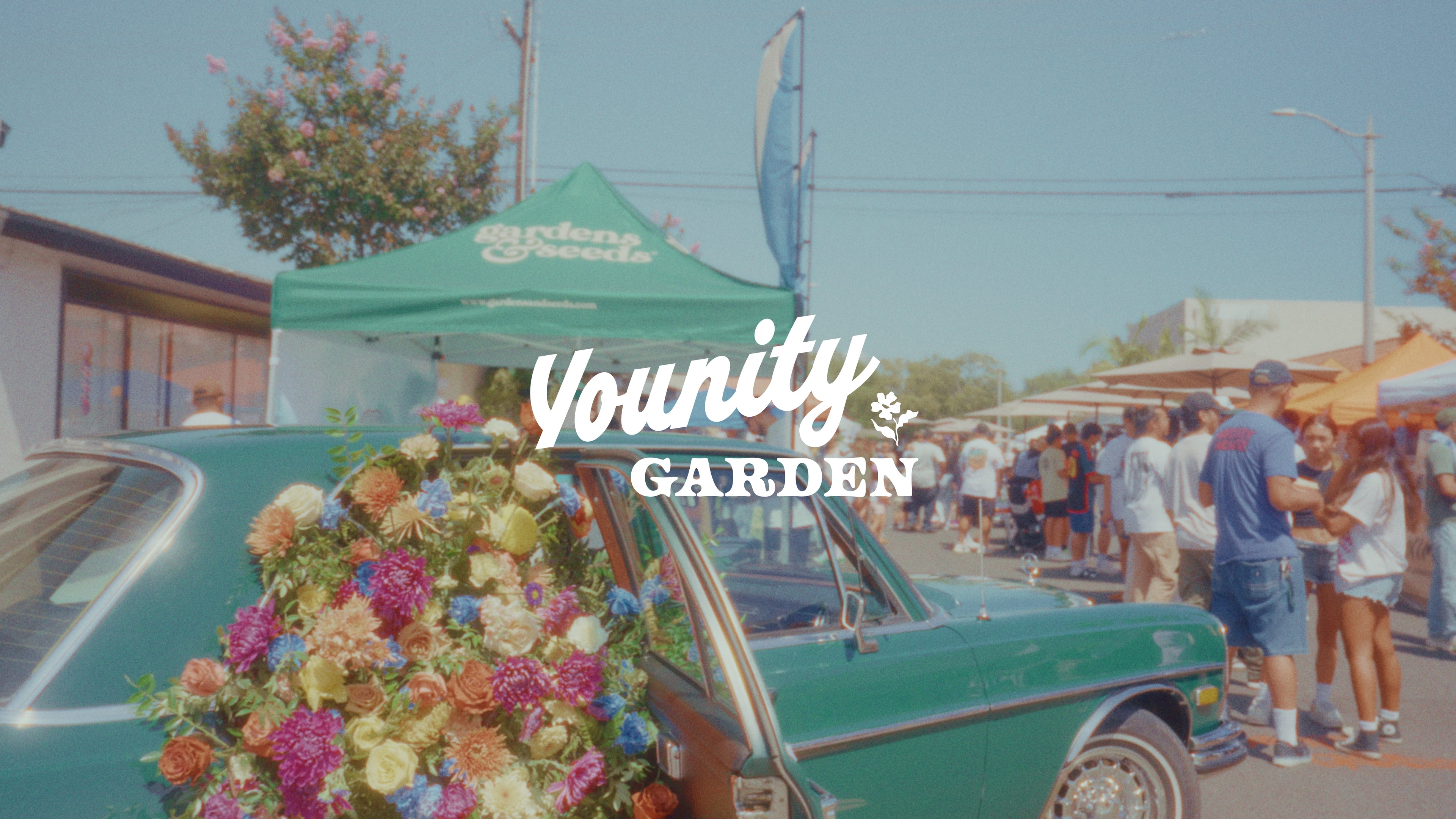 Younity Garden 2024 Recap! – Gardens & Seeds